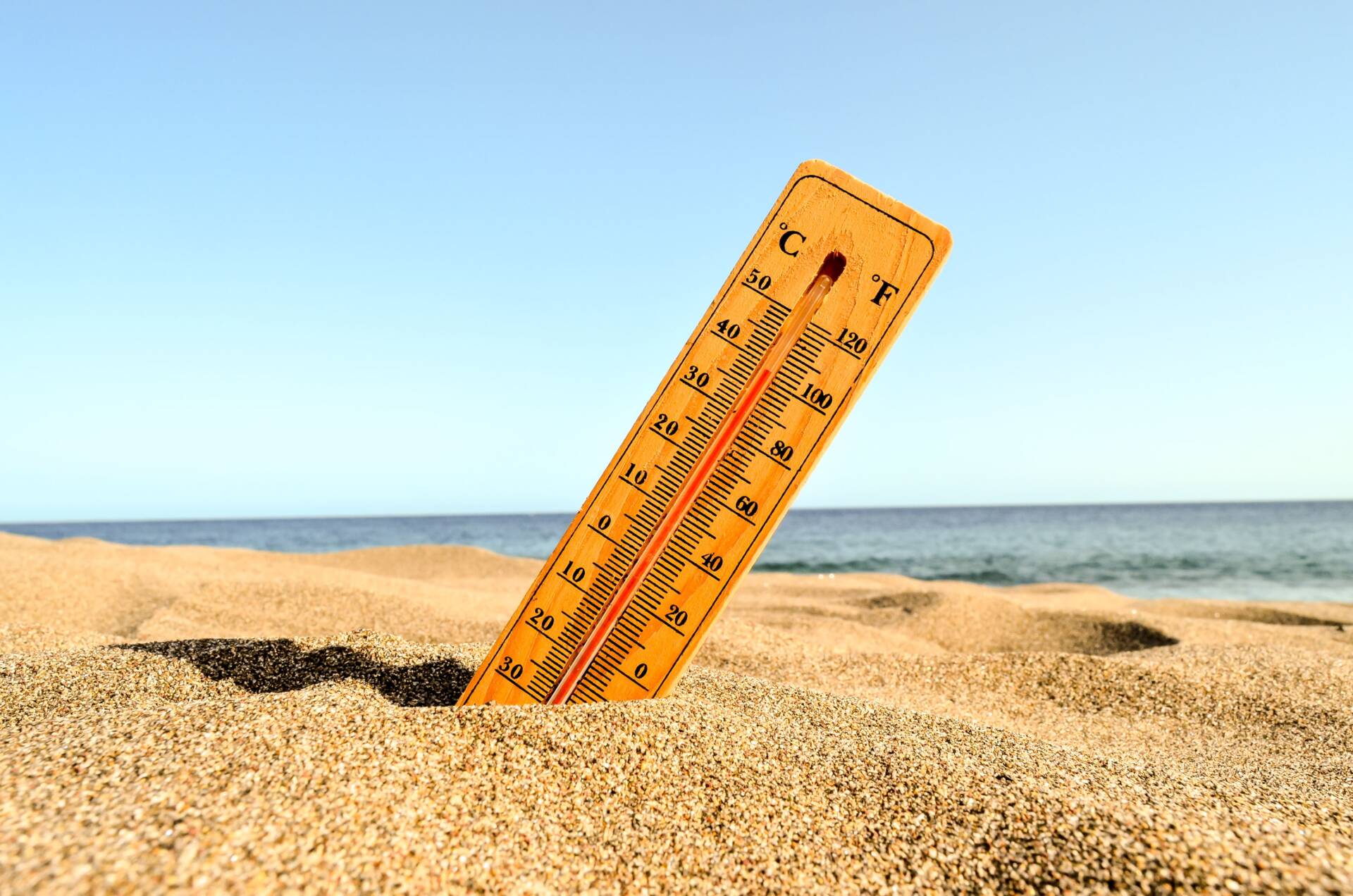 Plan Canicule 2026 - PROSENIORS